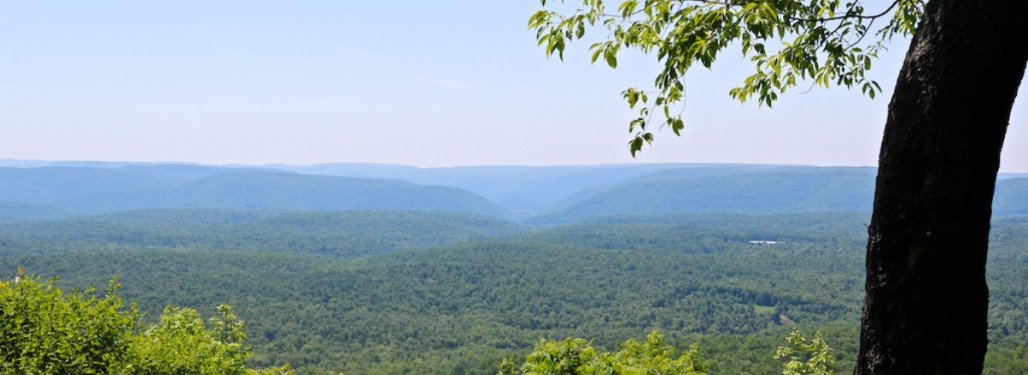 Sharp Top 25k and 50k - Masten , PA 06/29/2024