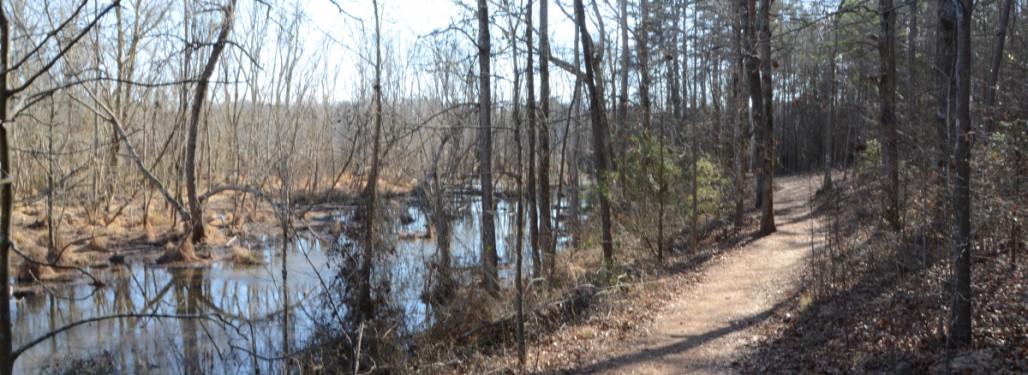 Swamp Rabbit Trail Urban Ultra - Greenville , SC 10/03/2020