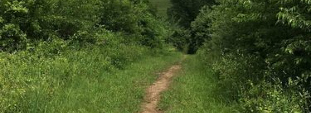 First State Trail Race - Wilmington , DE 05/17/2026