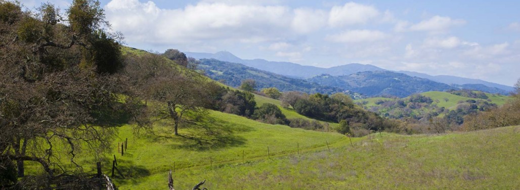 Calero Trail Run - December - San Jose , CA 12/05/2026