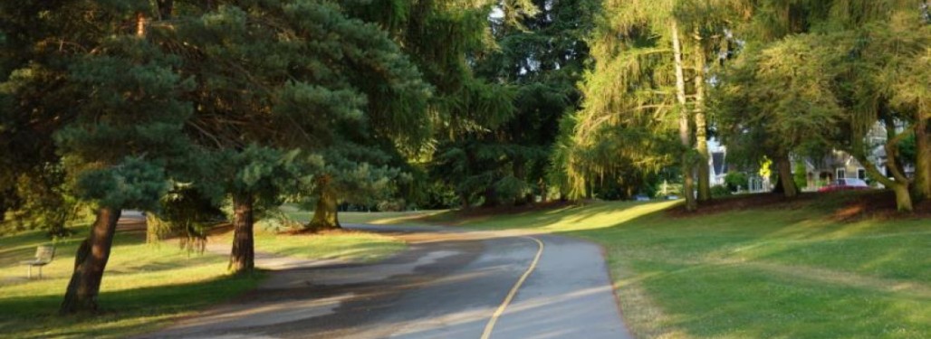 Dizzy Daze - Seattle , WA 03/28/2026