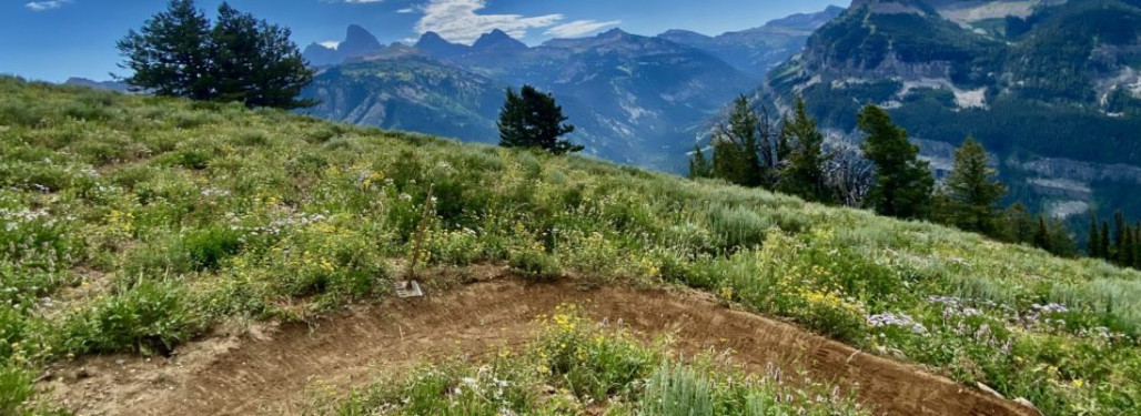 Grand Targhee Wildflower Run - Alta , WY 07/04/2026