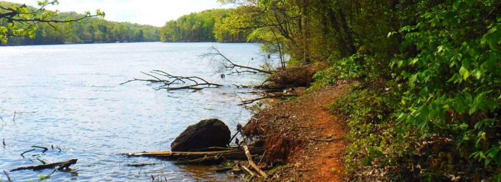 Bad Rock 12 hour - Troy , NC 06/13/2020