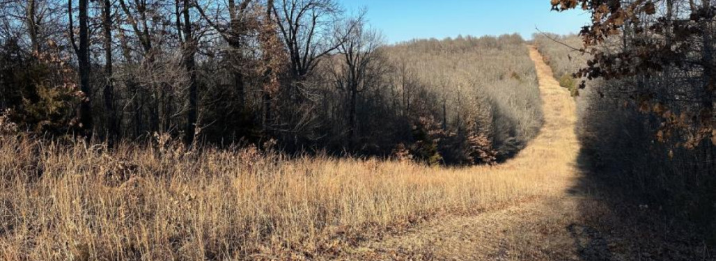 Hard Times Trail Run - Willard , MO 03/07/2026