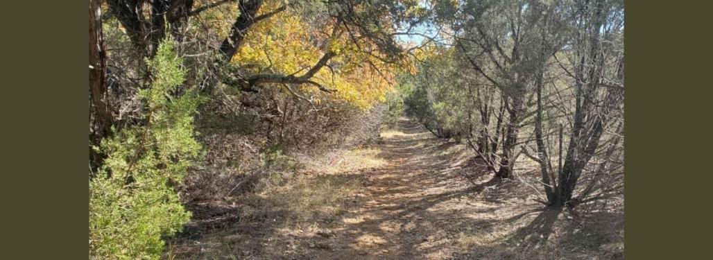 Ricochet's Riot - Killeen , TX 03/28/2026