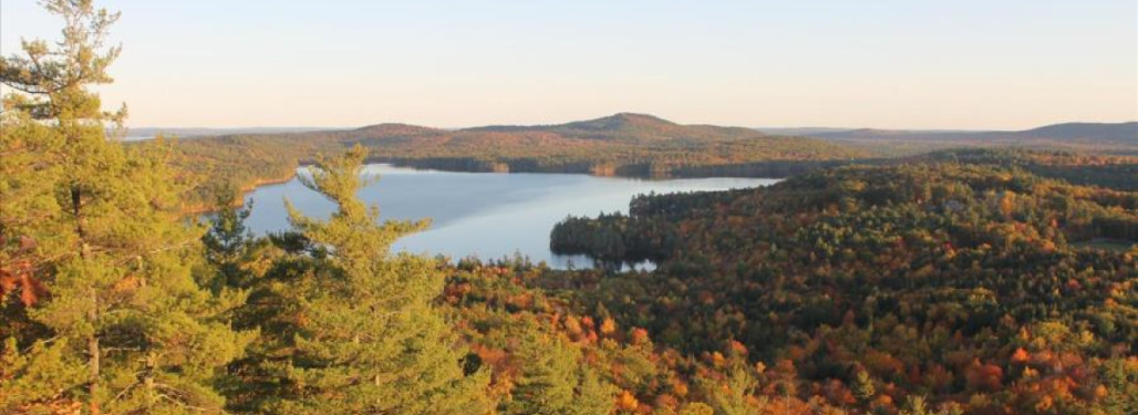 Five Fields Farm Races - Bridgton , ME 08/31/2025