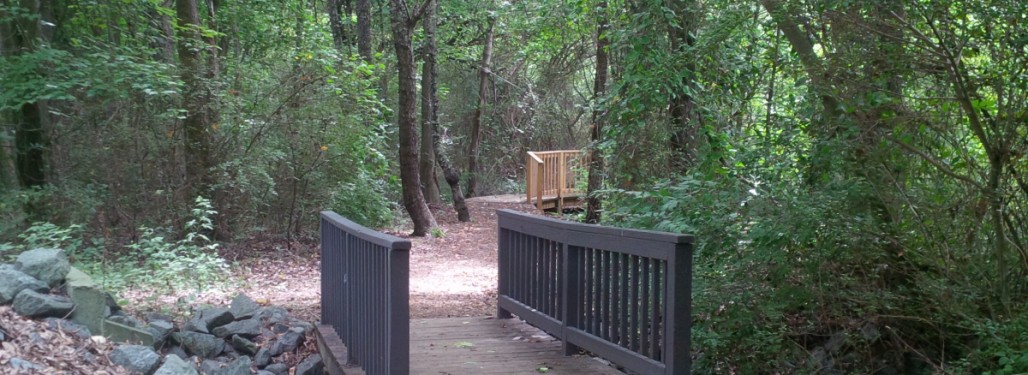 Miles For Maria - Powder Springs , GA 11/19/2022