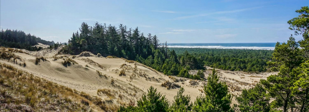 Siuslaw Dunes Trail Run - Florence , OR 03/07/2026