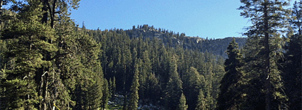 Echo Summit Trail Run Challenge - Twin Bridges , CA 10/02/2021