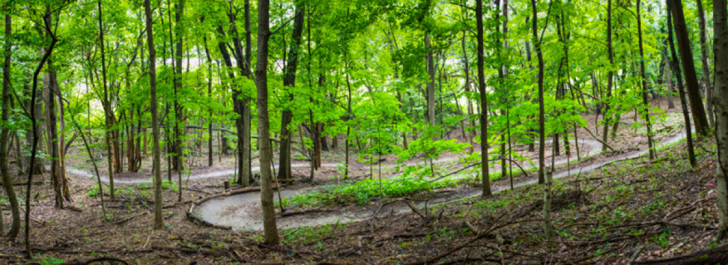 Illiniwek Race The Night - Hampton , IL 08/19/2023