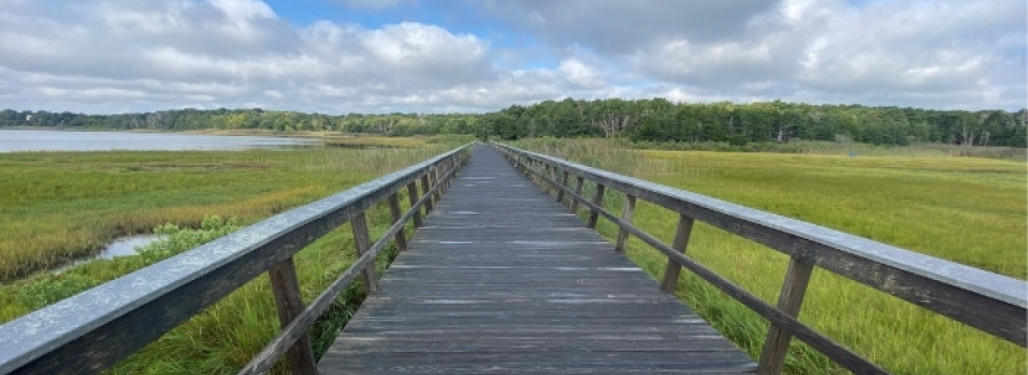 Cape Cod's Run Against The Tides - Brewster , MA 05/17/24