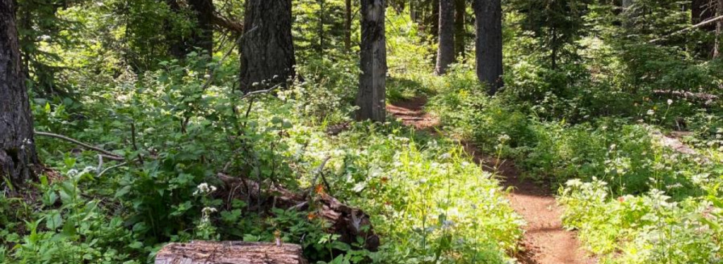 Umatilla Rim Ripper - Tollgate , OR 09/09/2023