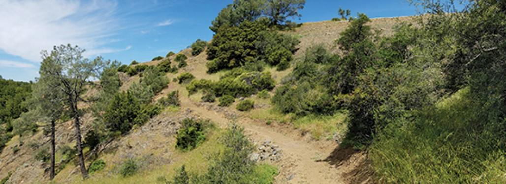 Mt. Umunhum Trail Conquest - San Jose , CA 02/07/2026